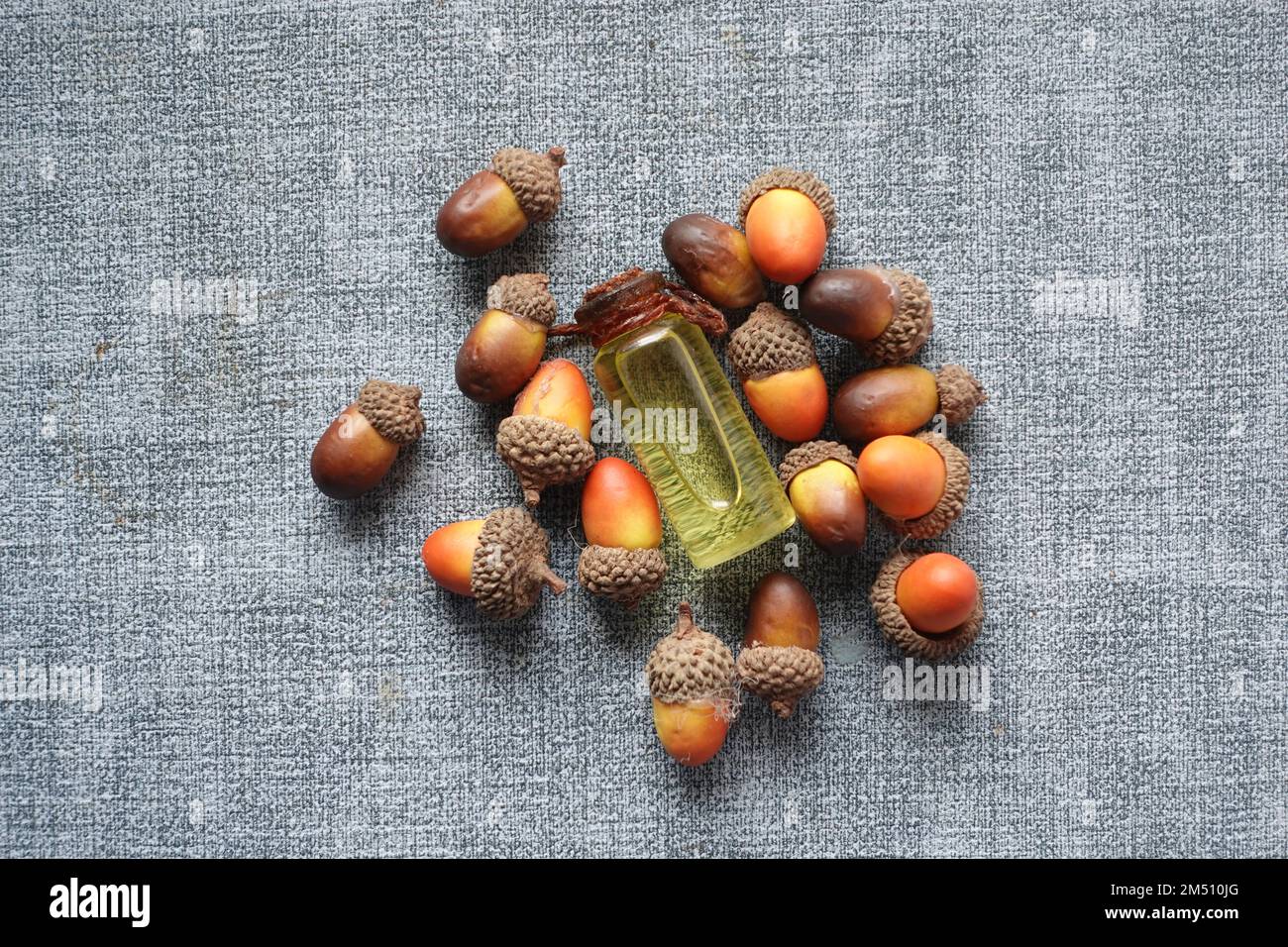 Acorn oil hi-res stock photography and images - Alamy
