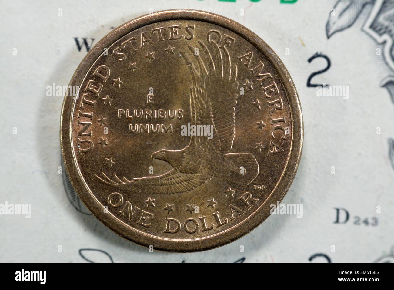 Bald eagle in flight from the reverse side of The golden Sacagawea ...