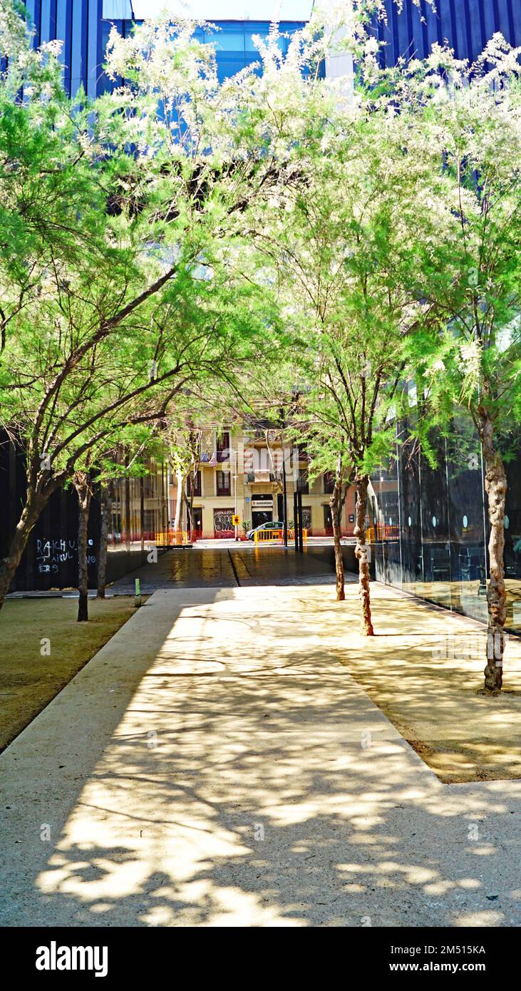 Indoor garden in Barcelona, Catalunya, Spain, Europe Stock Photo - Alamy