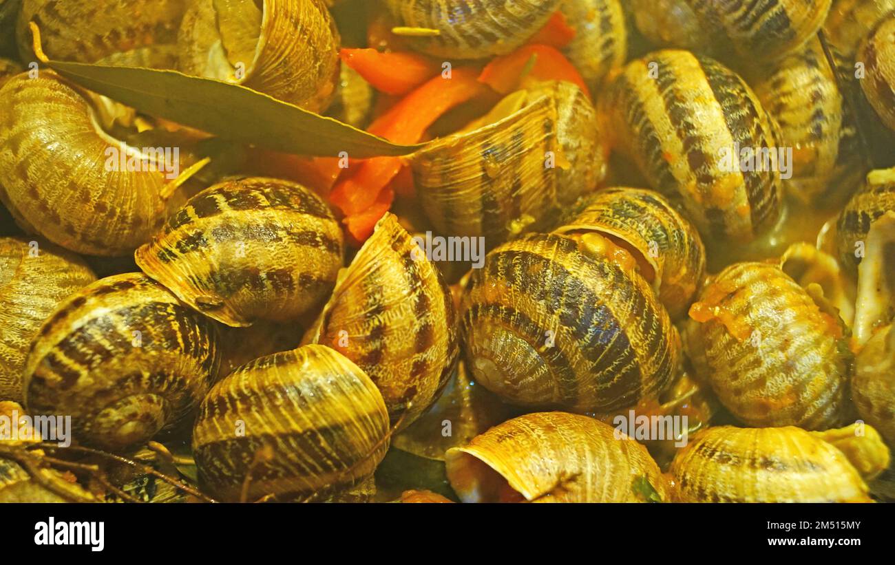 Pot of snails in tomato sauce and red pepper Stock Photo - Alamy