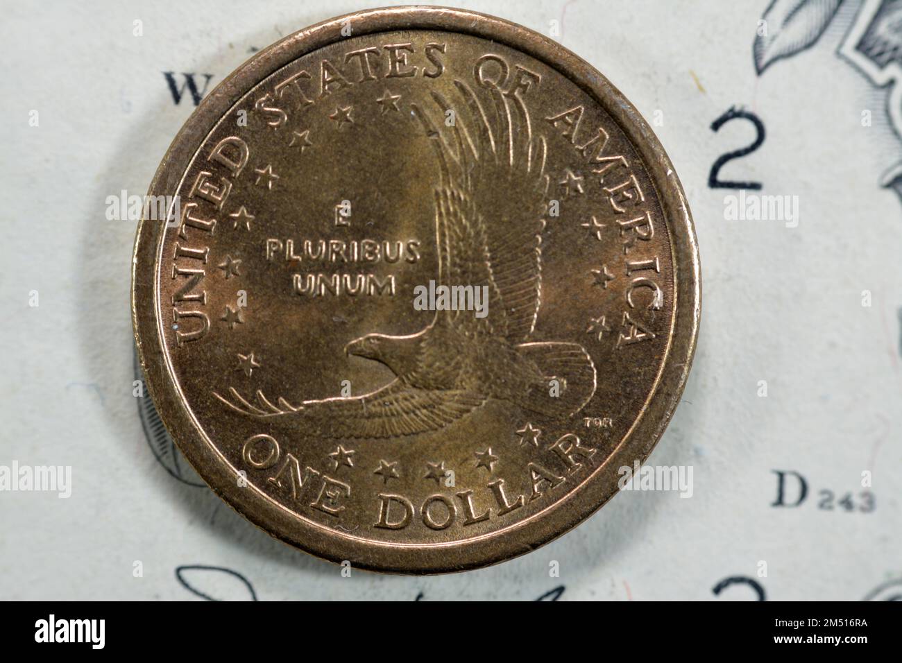 Bald eagle golden cent hi-res stock photography and images - Alamy