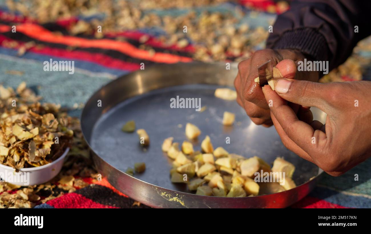 A pile of Ginger roots peeled with knife over chopping block. Ginger or ...