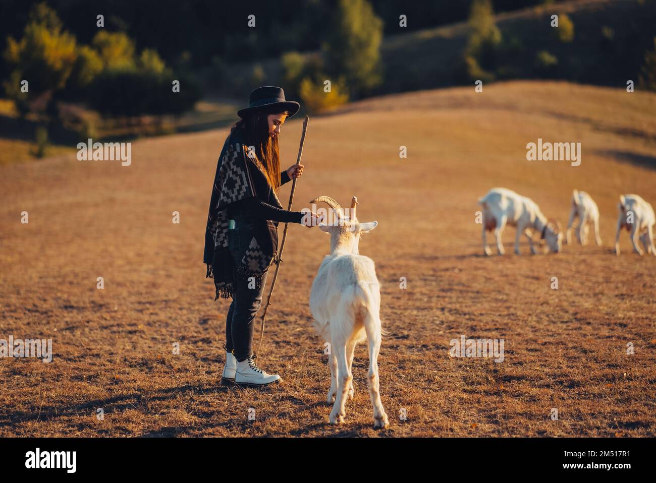 Female sheepherder hi-res stock photography and images - Alamy