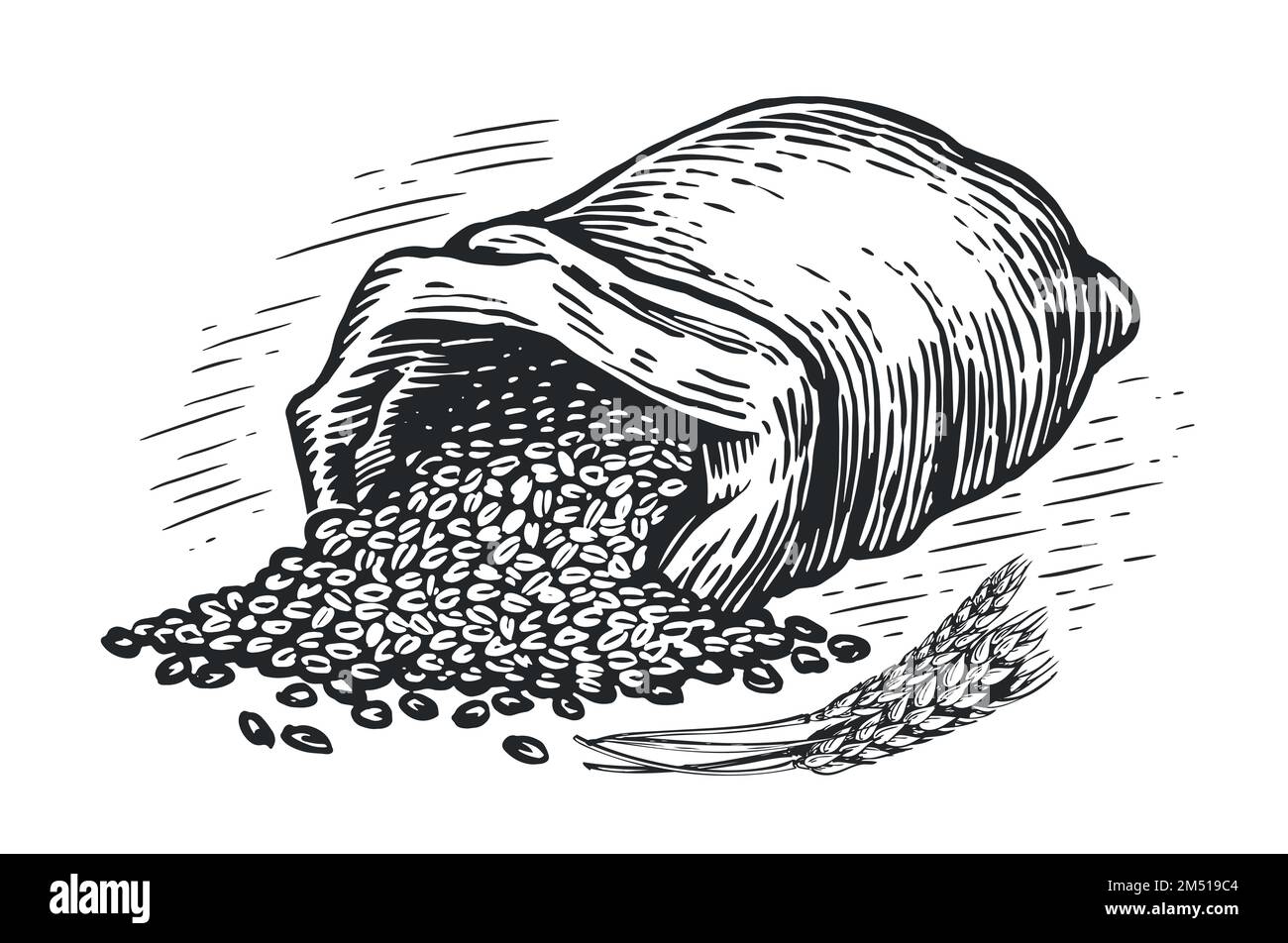 Full sack of wheat grains. Farm organic bread wheat for baking flour ...