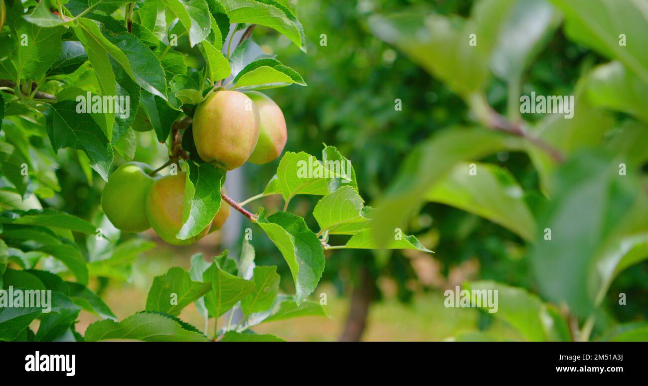 Slow motion fruits hi-res stock photography and images - Alamy