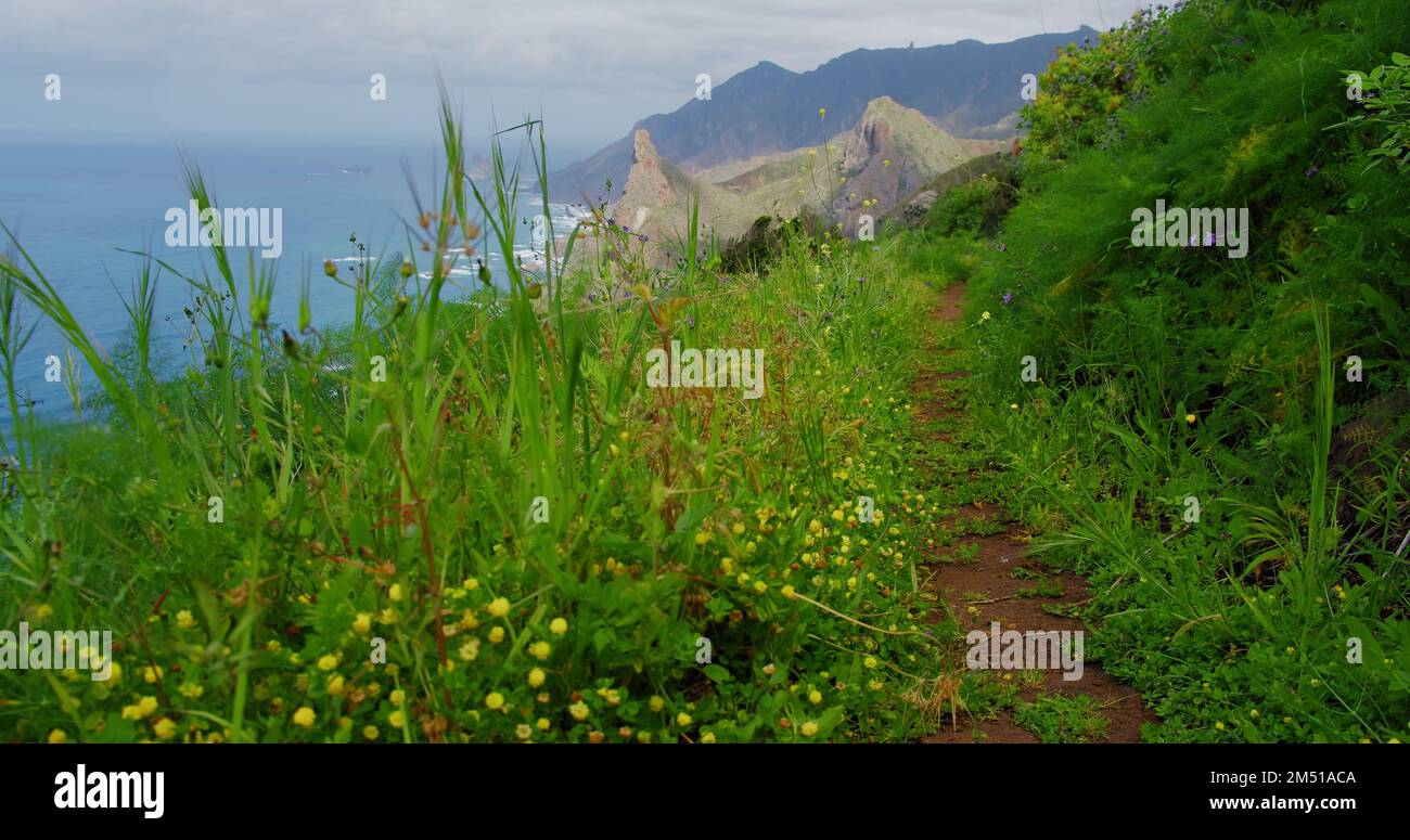 Stunning steep cliffs in spring, green landscape mountains, Anaga ...