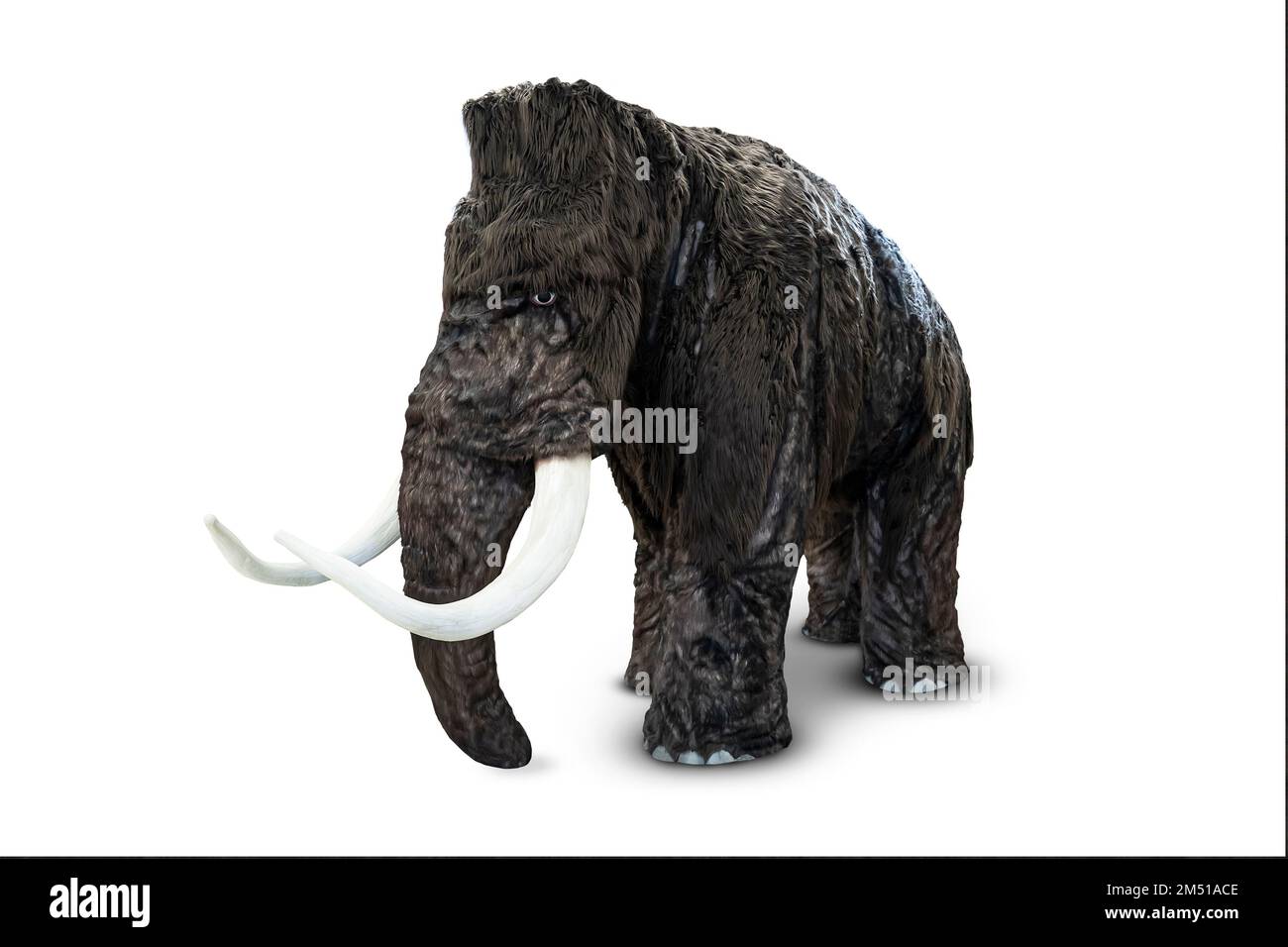 woolly Mammoth figurine isolated on white background Stock Photo - Alamy