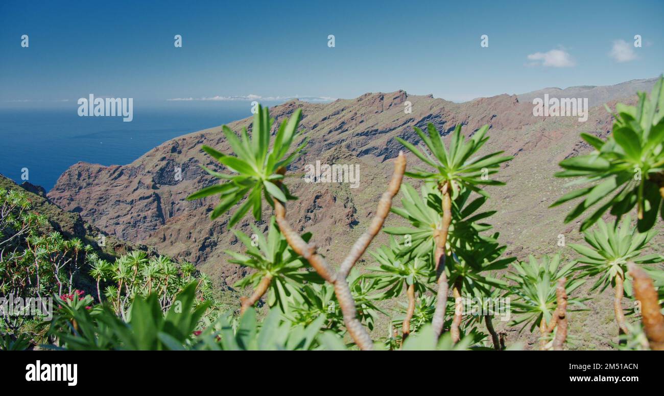 End masca gorge tenerife canary islands hi-res stock photography and ...