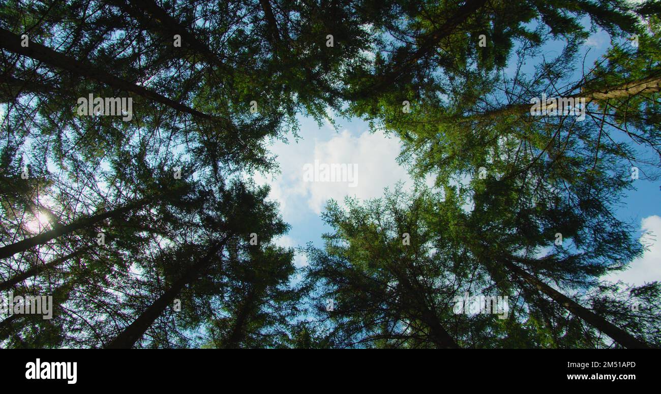 Unity with nature. Environmental protection. Ecology. Unesco heritage ...