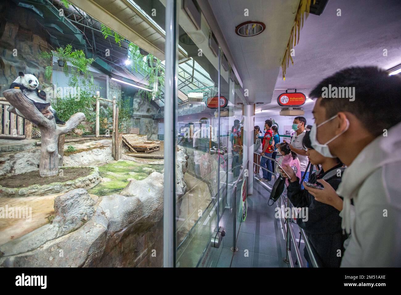 Chiang Mai, Thailand. 23rd Dec, 2022. Visitors take photos of giant ...