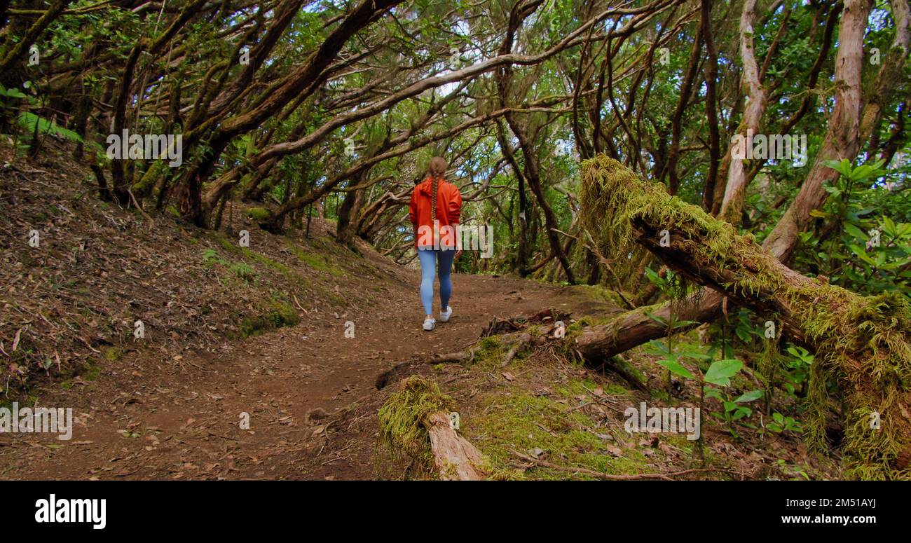 Hiking girl tracking walking along the Anaga natural park, green forest ...