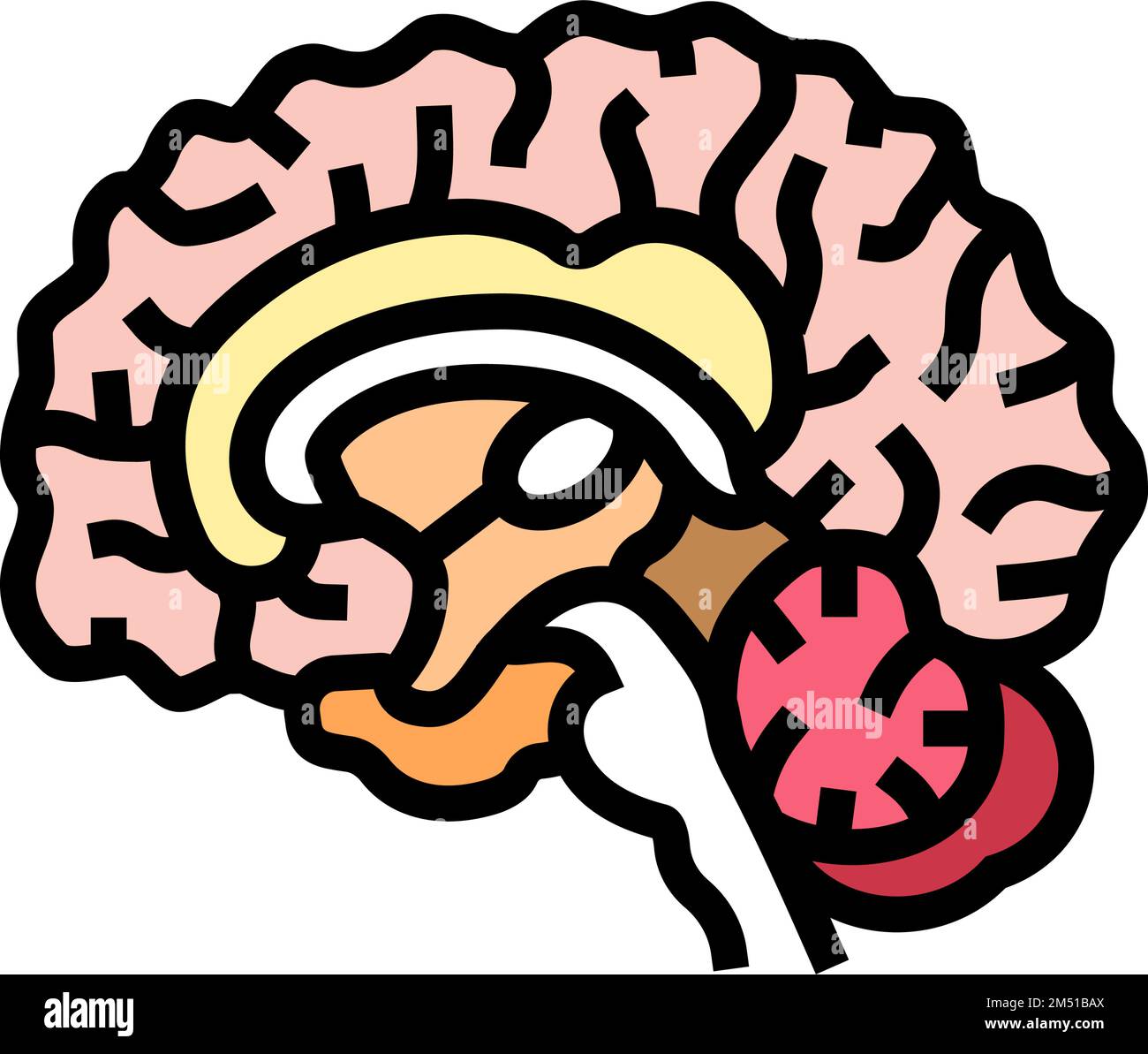 neurology brain color icon vector illustration Stock Vector Image & Art ...