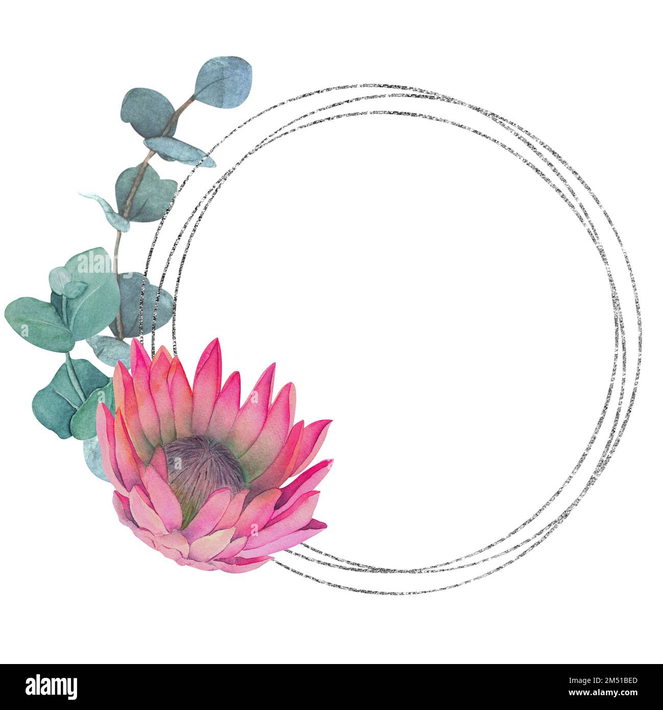 Hand painted watercolor magenta protea flowers frame with silver line ...