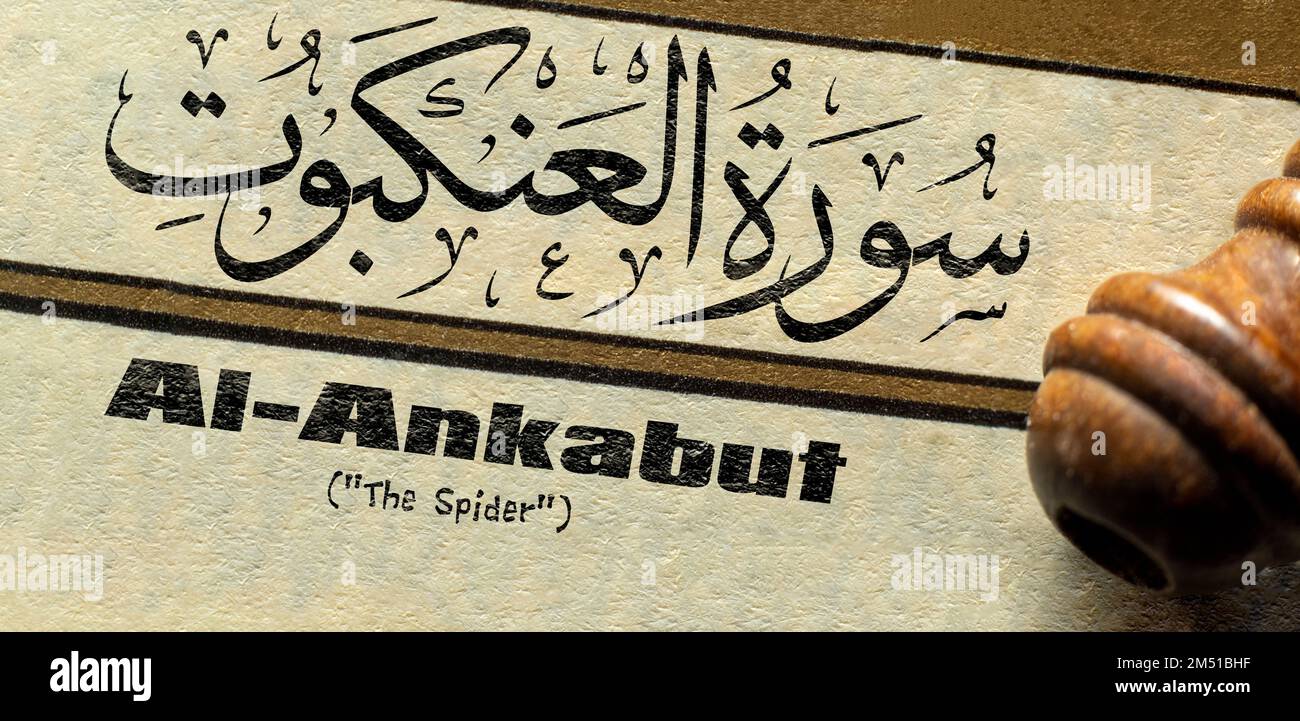 Al ankabut hi-res stock photography and images - Alamy