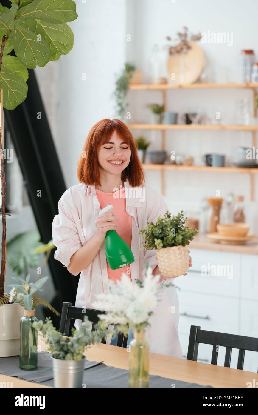Woman spraying water on houseplants in flower pots by sprayer Stock ...
