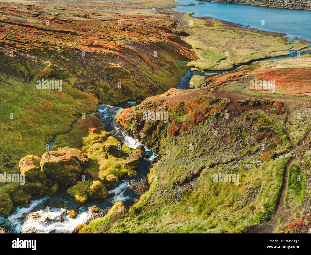 Autumn colors covering the landscape trough Iceland, waterfall running ...