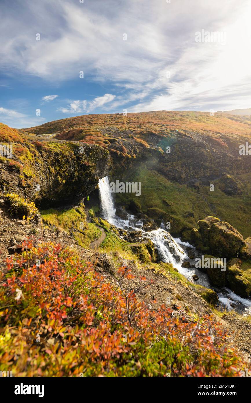 Sheep's Waterfall, Selvallafoss in Iceland vertical photo Stock Photo ...