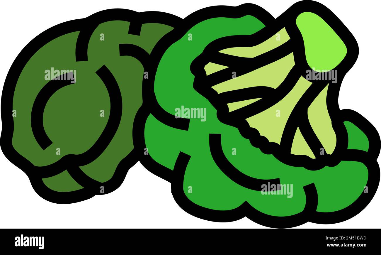broccoli fresh color icon vector illustration Stock Vector Image & Art ...
