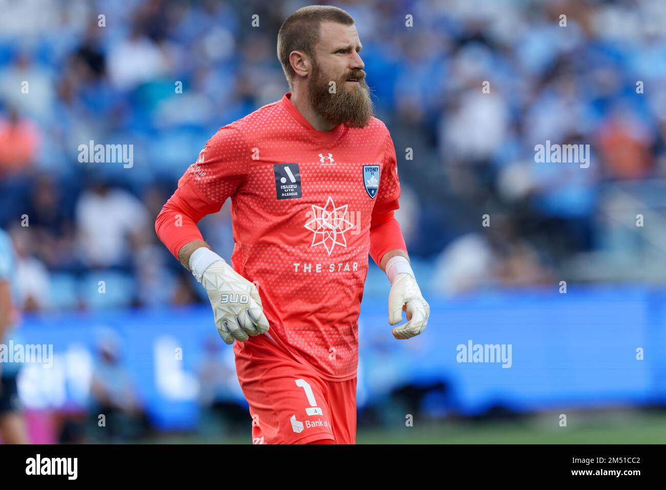 Andrew Redmayne of Sydney FC looks on during the match between Sydney ...