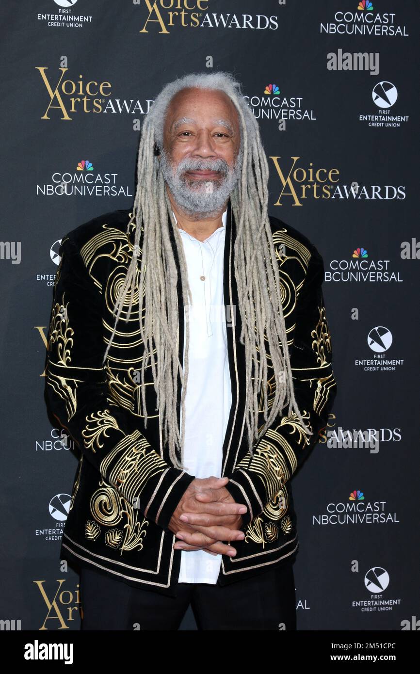 LOS ANGELES - DEC 18: Dave Fennoy at the Voice Arts Awards at Steven J ...