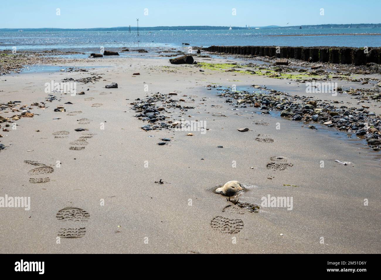 footprints across the sand on a deserted beach Stock Photo - Alamy