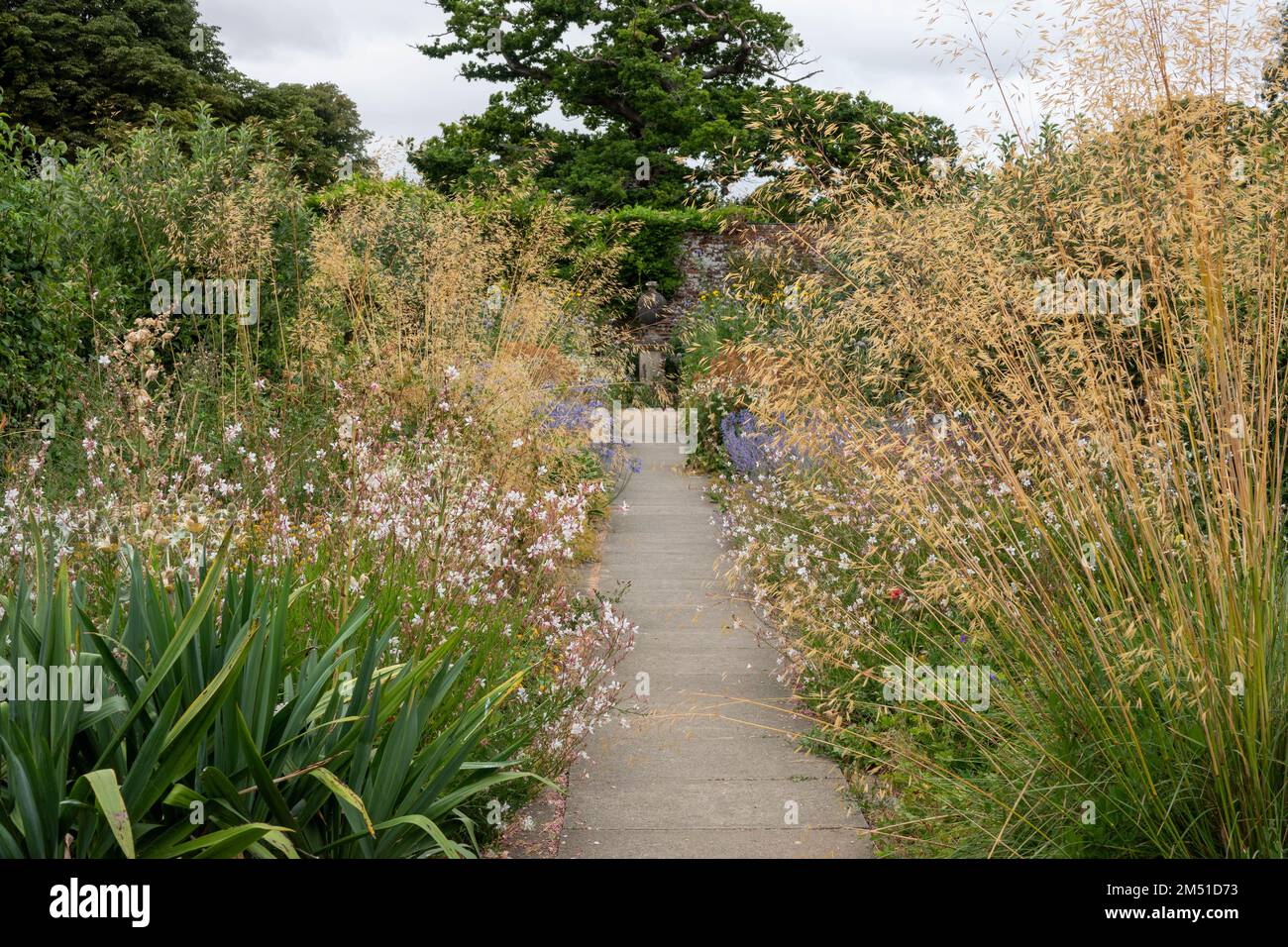 footpath through a garden with plants and flowers on both sides Stock ...