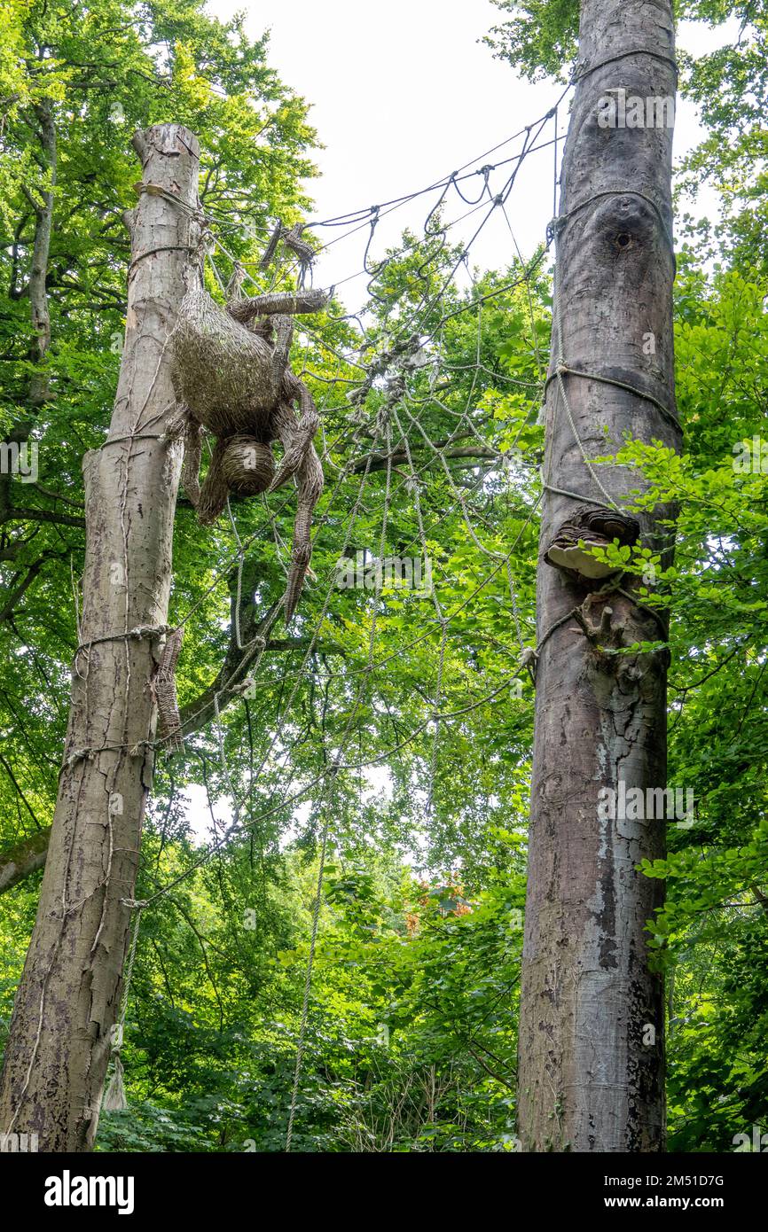 Spider hanging from web hi-res stock photography and images - Alamy