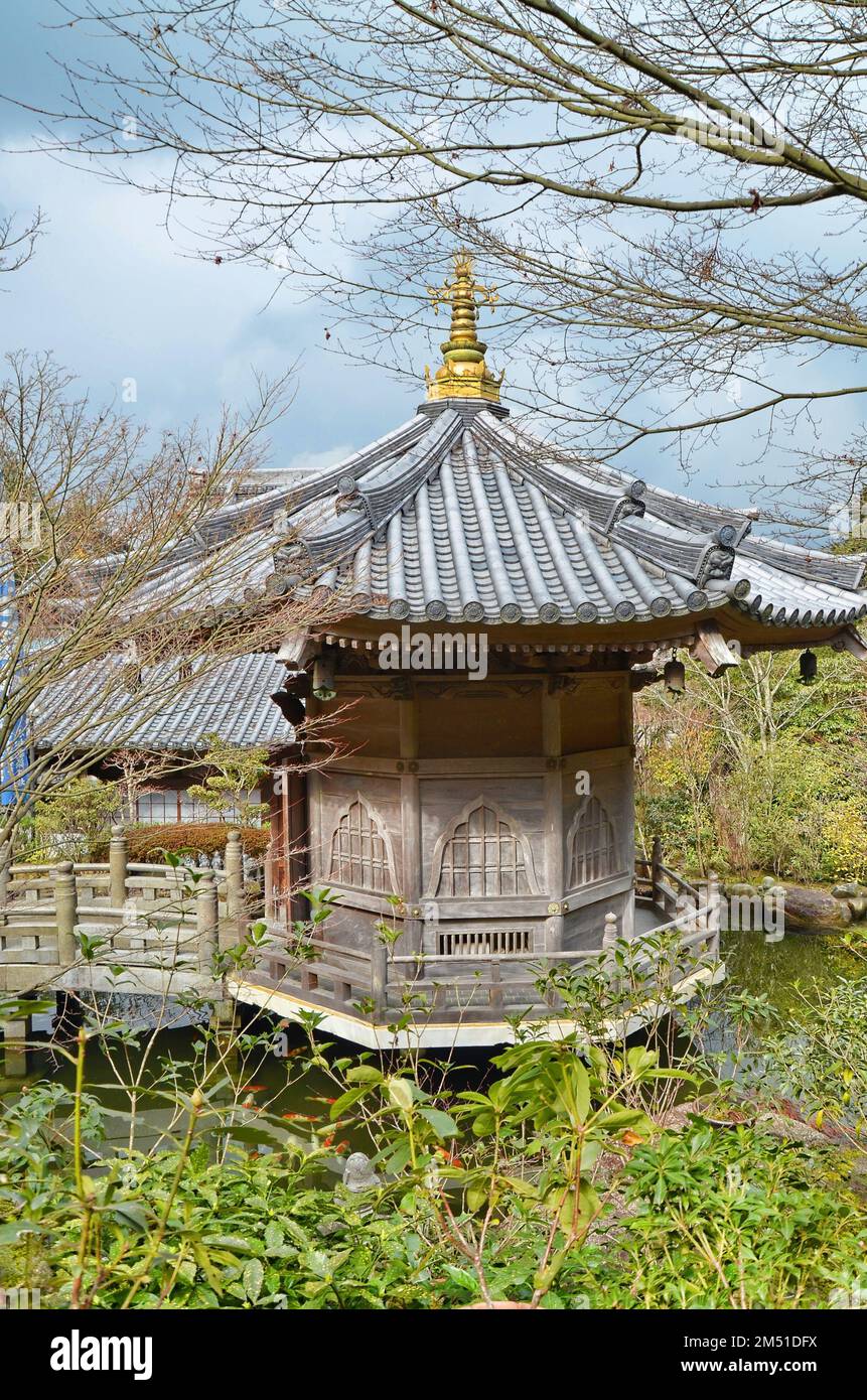 Daishō-in or Daisyō-in is a historic Japanese temple complex with many ...