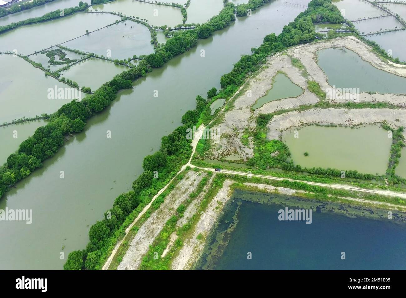 Aerial view of fish farms near the river, Gresik, Indonesia Stock Photo ...