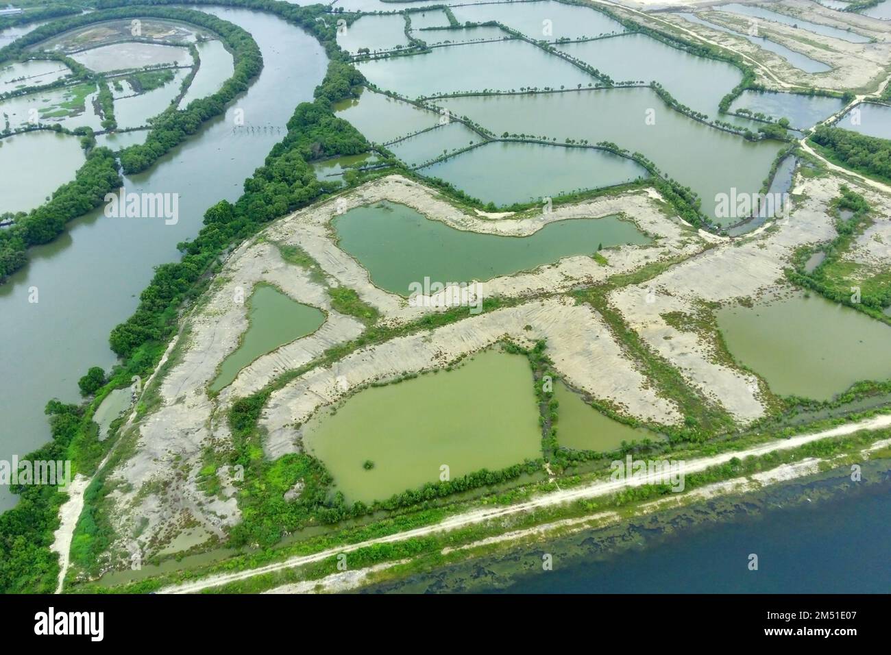 Aerial view of fish farms near the river, Gresik, Indonesia Stock Photo ...