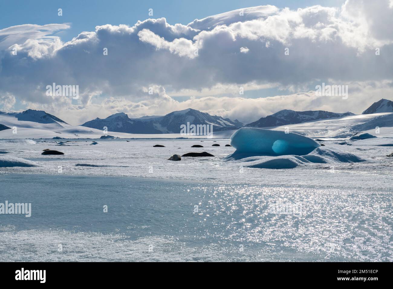 Antarctica, Weddell Sea, Larson Inlet. Sun melting sea ice. 64° 24' 45 ...