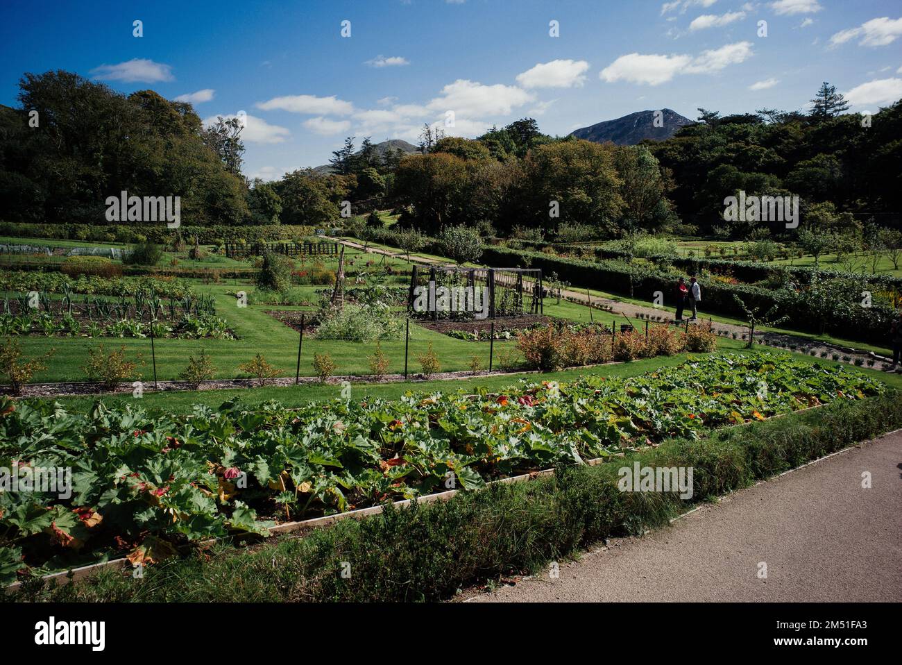 The garden Kylemore abbey in the region of Galway in Connemara national ...