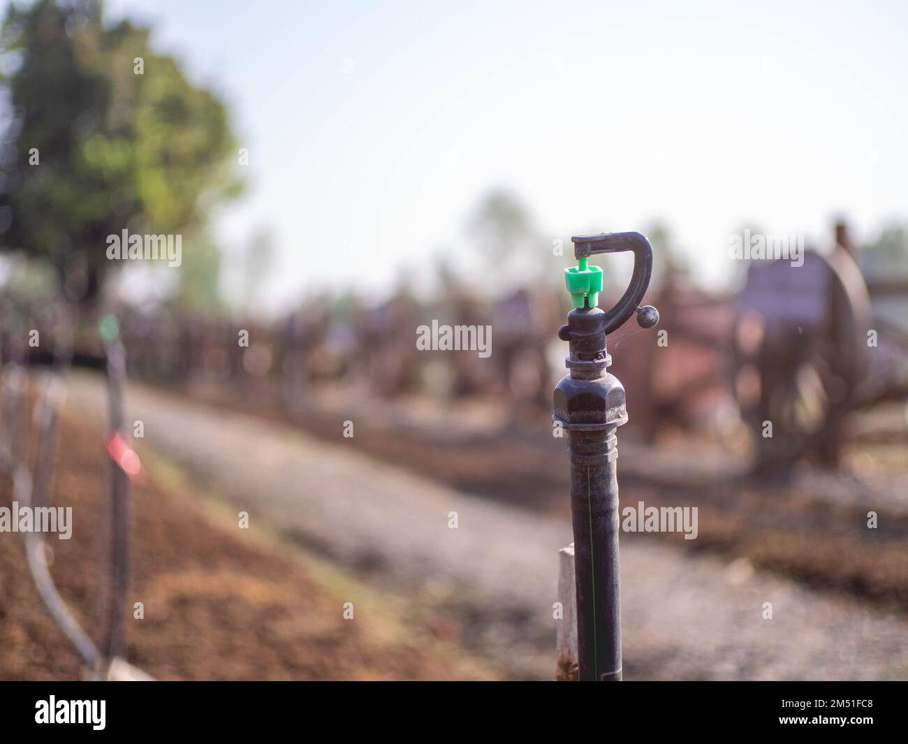 Water springer and vegetable field Stock Photo - Alamy