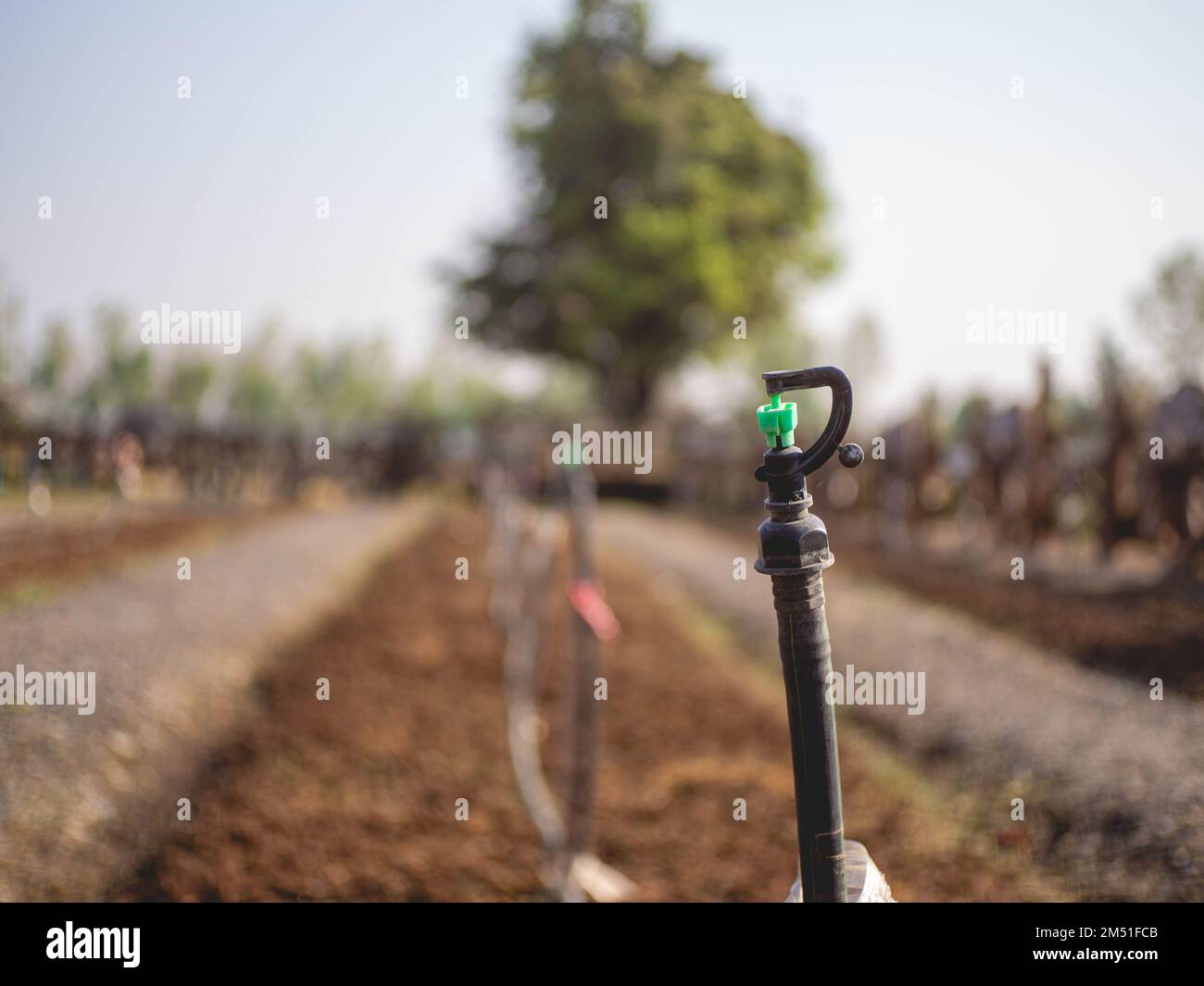 Water springer and vegetable field Stock Photo - Alamy