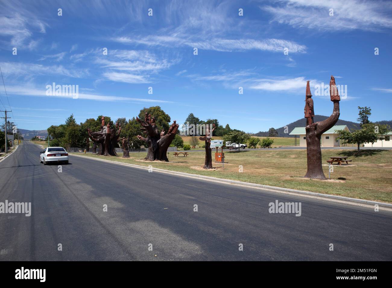 Legerwood Memorial Trees, planted in 1918, at Legerwood in Tasmania ...