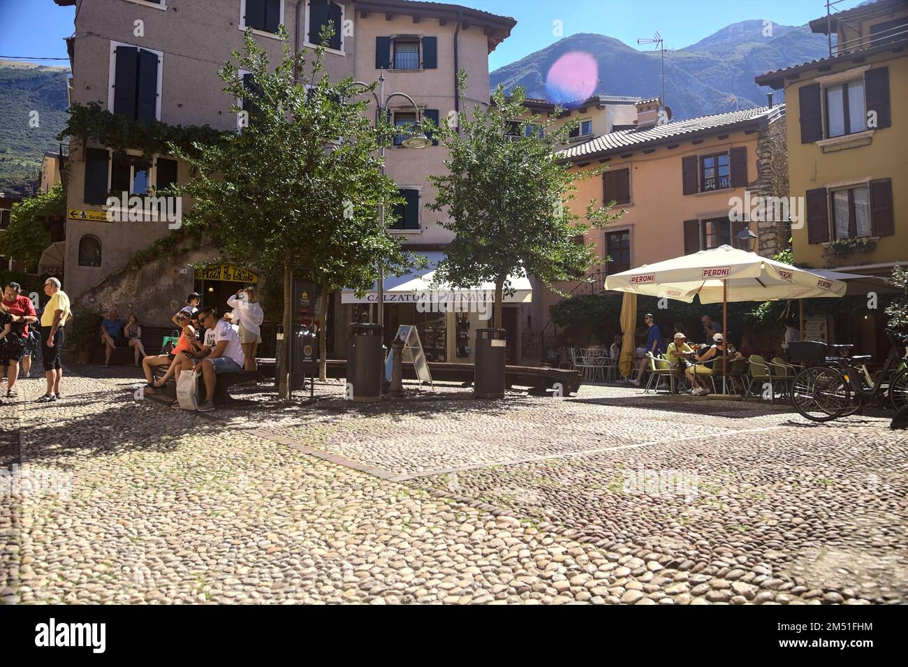 Trees in a village hi-res stock photography and images - Alamy