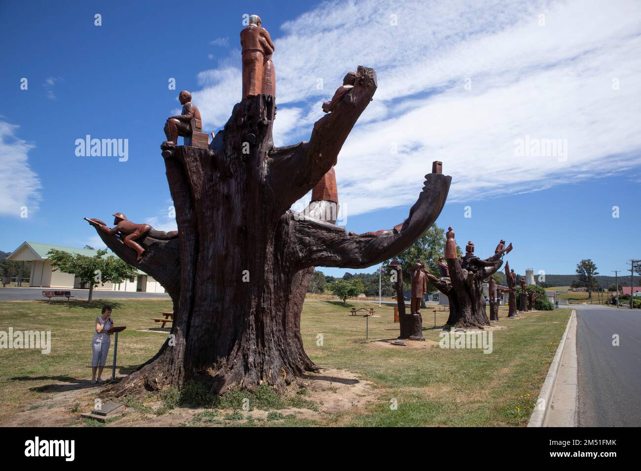 Tourist looking at the Legerwood Memorial Trees, at Legerwood in ...
