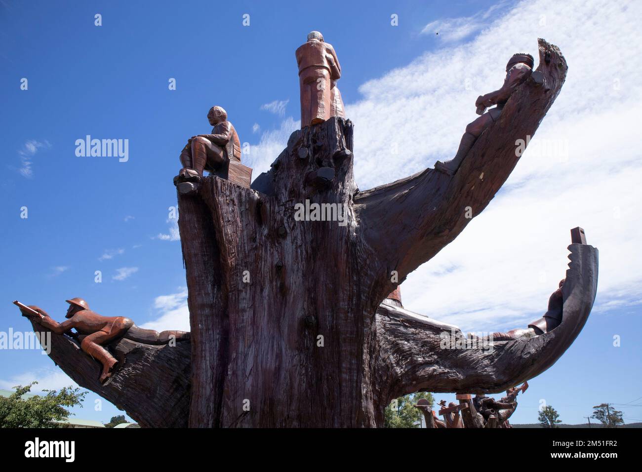 Legerwood Memorial Trees, planted in 1918, at Legerwood in Tasmania ...