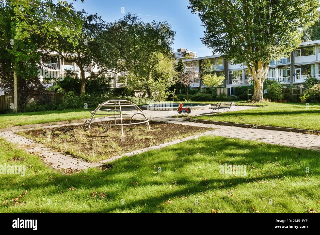 an empty backyard with lots of green grass and trees in the fore ...