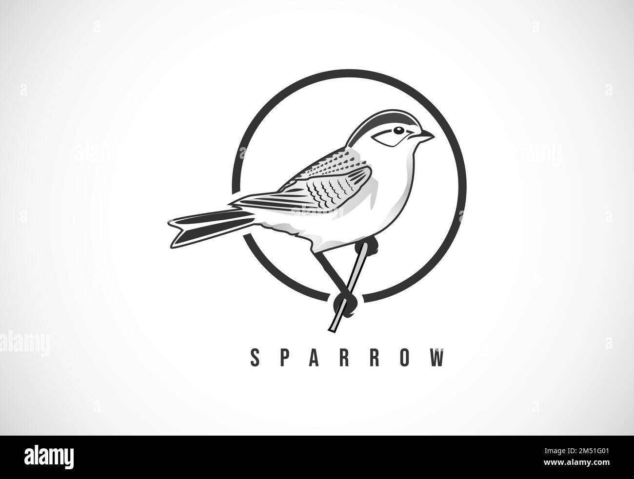 Sparrow in a circle. Sparrow logo design template vector illustration ...