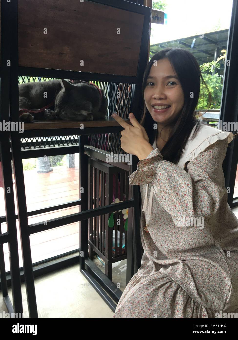 woman with gray cat sleeping Stock Photo - Alamy