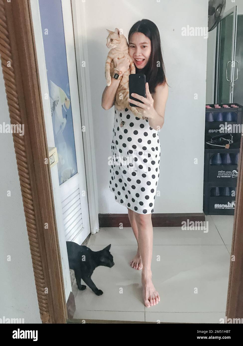 lady and cat Stock Photo - Alamy