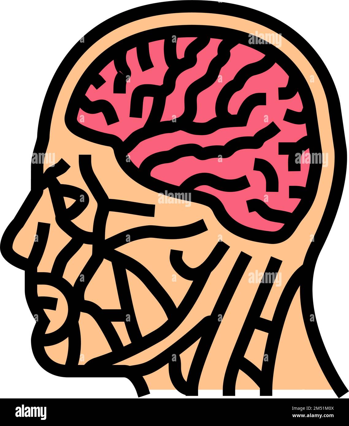 head brain human color icon vector illustration Stock Vector Image ...