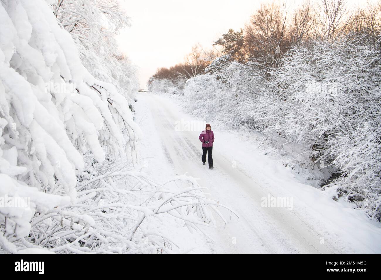 **NORMAL USAGE FEES APPLY** Ugthorpe, North Yorkshire , UK - Thursday ...