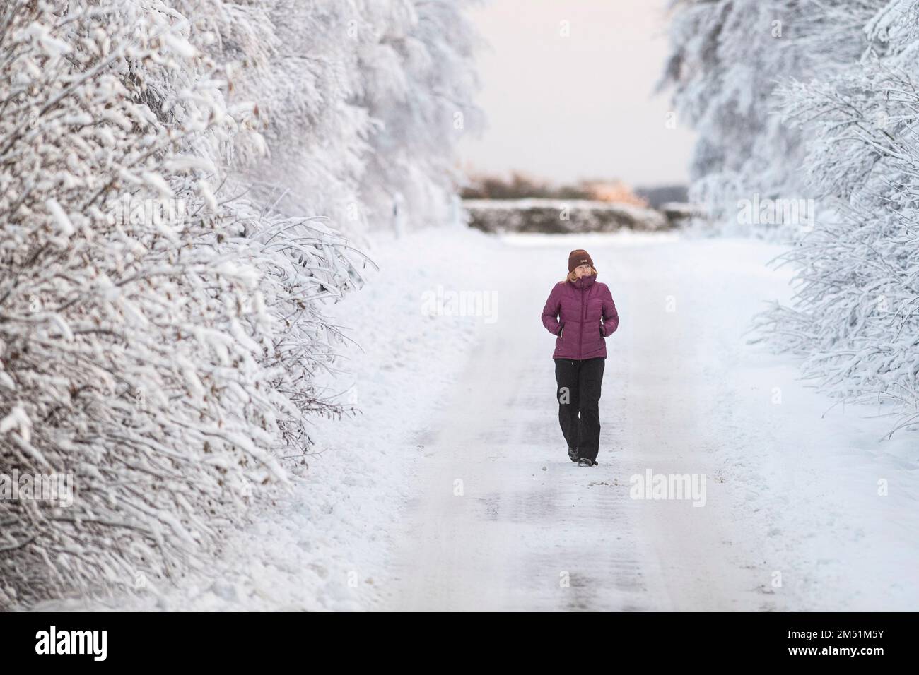 **NORMAL USAGE FEES APPLY** Ugthorpe, North Yorkshire , UK - Thursday ...