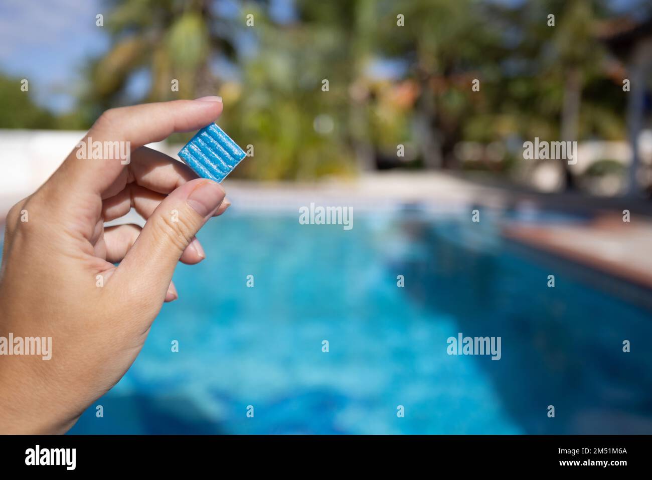 Hand holding small blue tile from floor of swimming pool. Maintenance ...