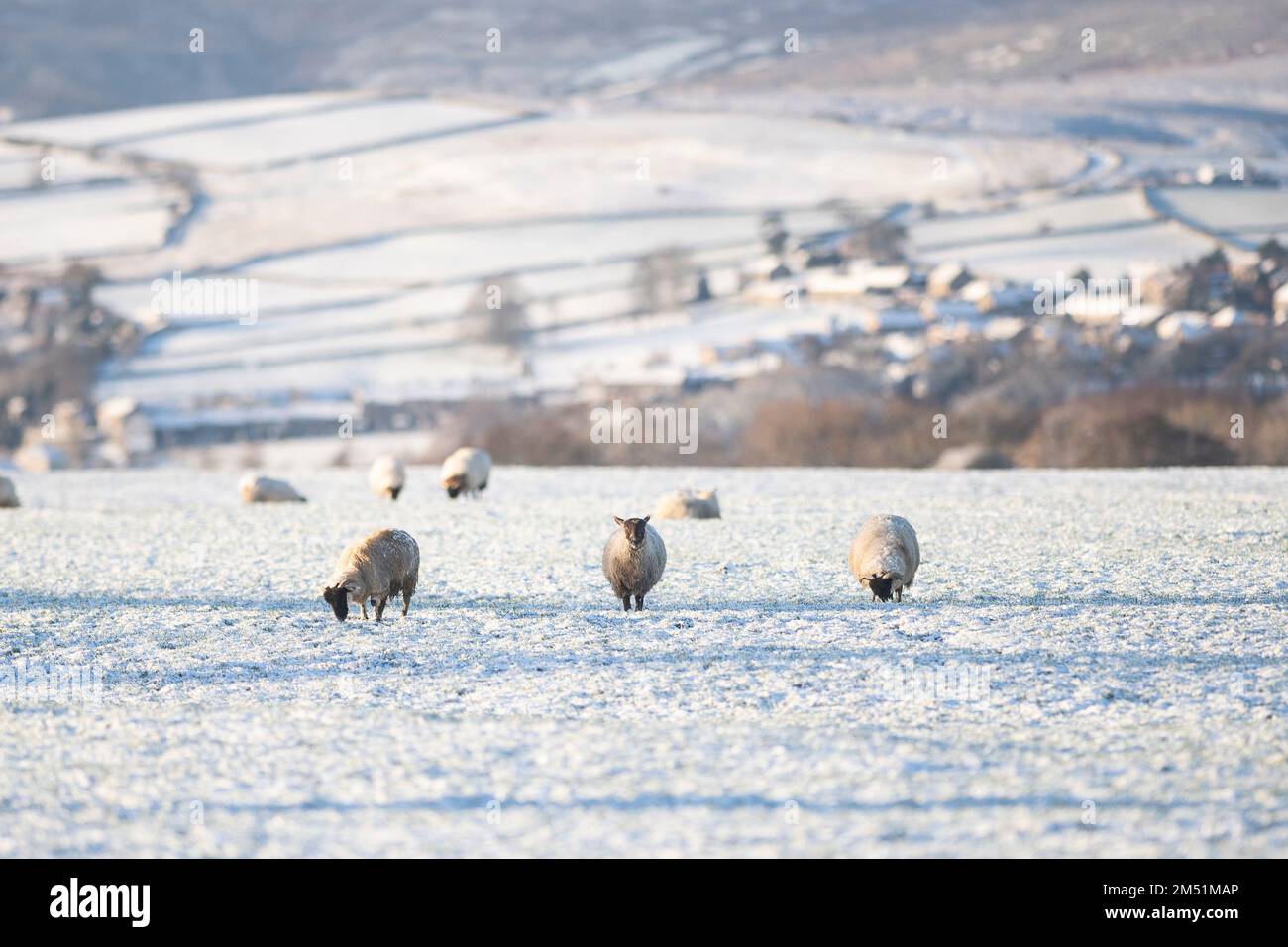 **NORMAL USAGE FEES APPLY** Scaling Dam, North Yorkshire, UK - Thursday ...