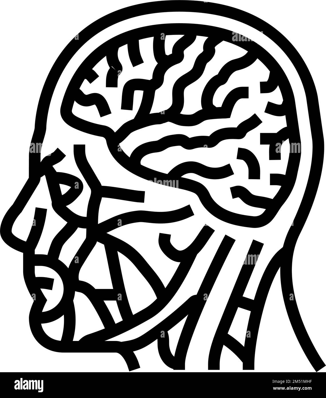 head brain human line icon vector illustration Stock Vector Image & Art ...