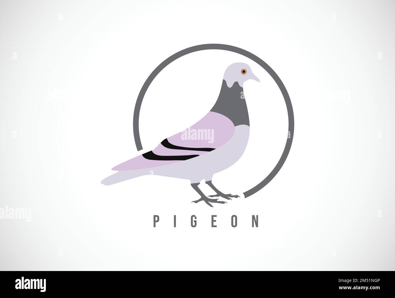 Pigeon in a circle. Pigeon logo design template vector illustration ...