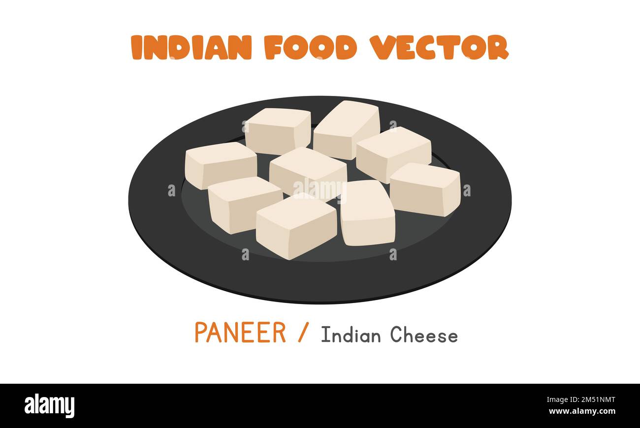 Indian Paneer - Indian cheese flat vector illustration isolated on ...